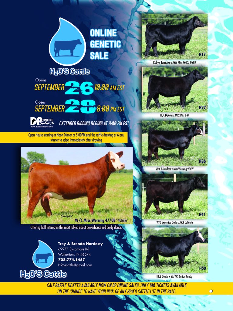H2O'S Cattle – Genetics, Genetics, Genetics