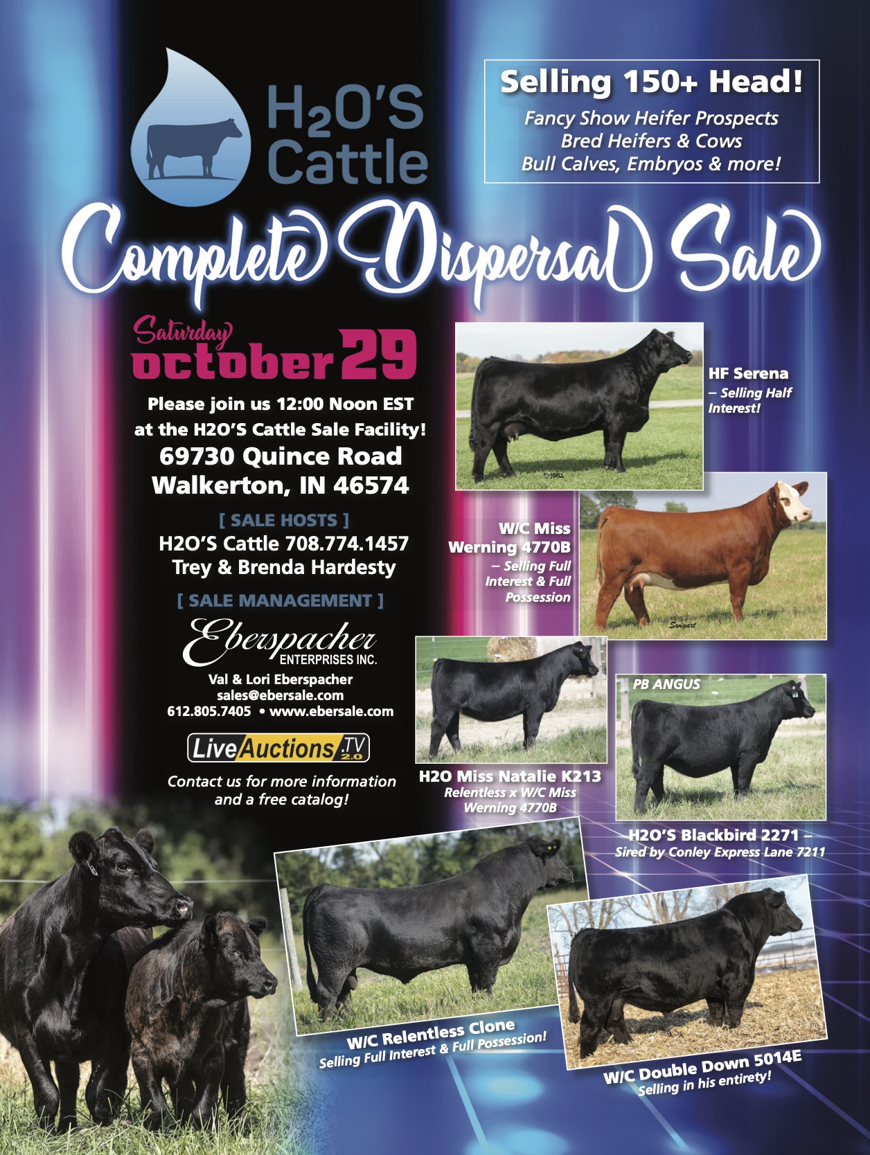 H2O'S Cattle – Genetics, Genetics, Genetics